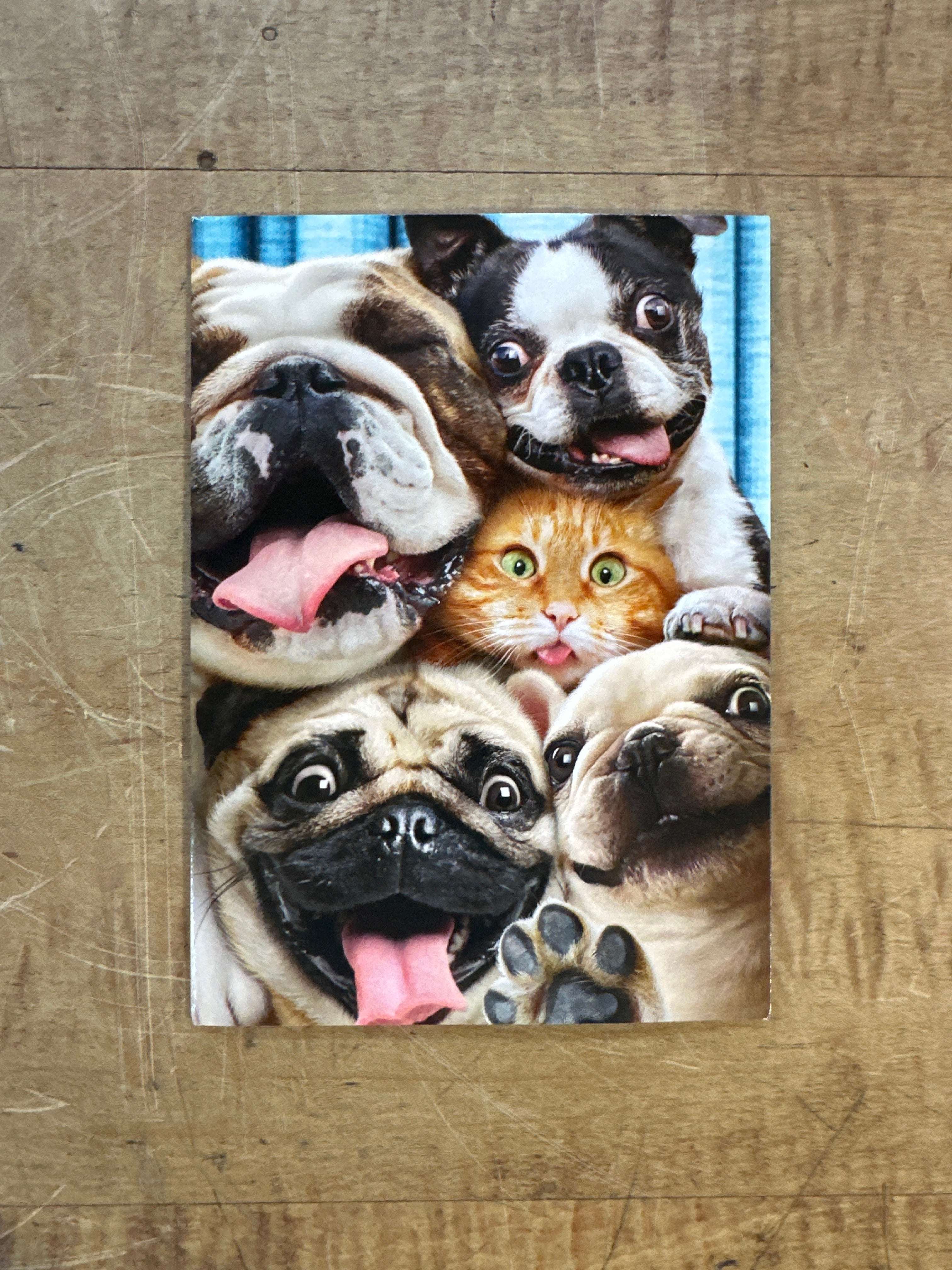 Group Hug Card – Andrea's Schnuck Store